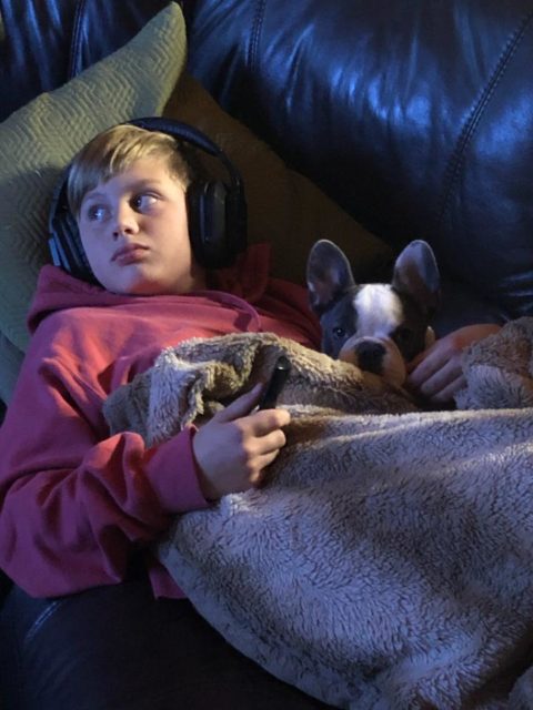 Hastings, NE Veterinary Team - Companion's Choice Animal Hospital